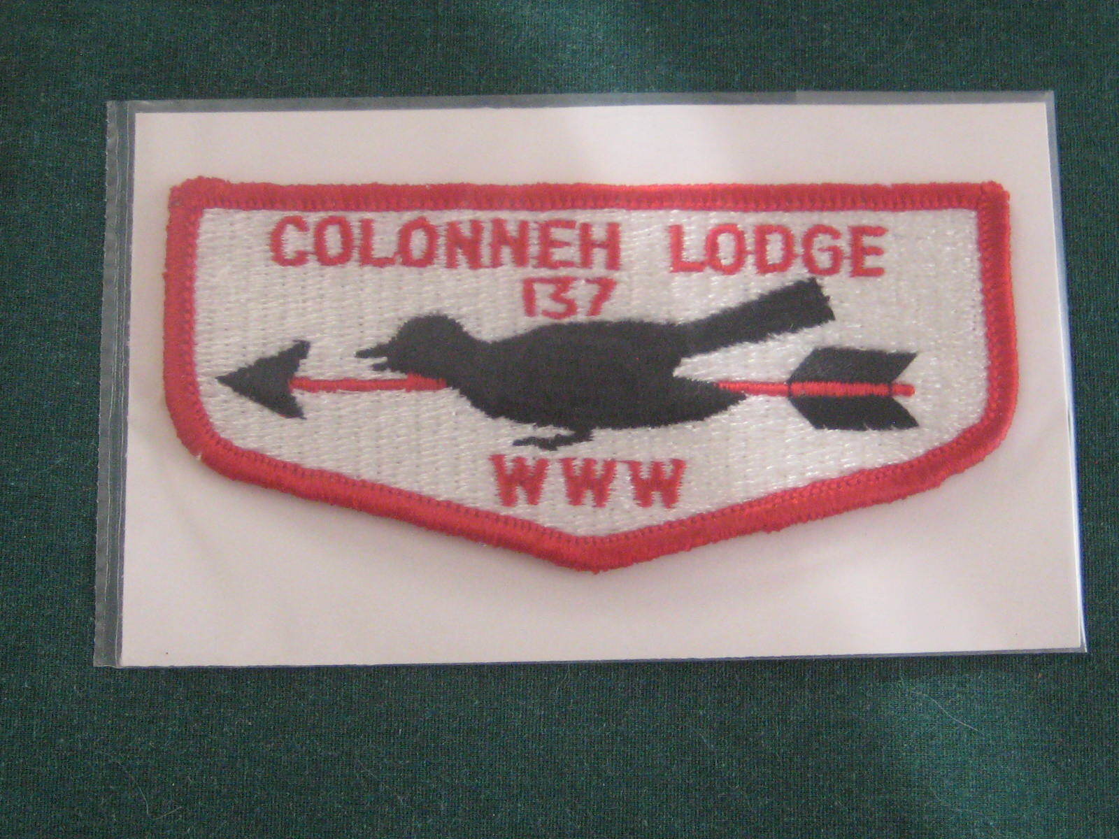 Colonneh 137 s3b flap BT | eBay