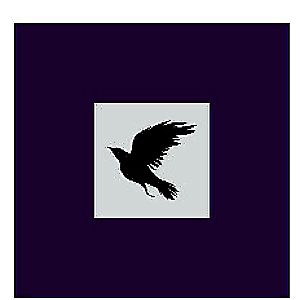 Quicksilver Corvid Designs | eBay Stores