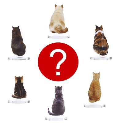 Blind Box Realistic Calico Orange Tabby Siamese Cat 1 Random Acrylic ...