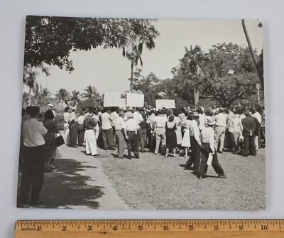Original Vintage News Photo Miami Herald Anti Castro Demonstration 1960 ...