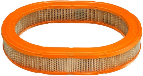 Fram CA4320 Air Filter fits E301-23-603 E30123603 AF603 AF853 46019 ...