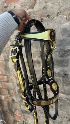 New Custom Fancy Hackamore Horse Bridle with Black Leather & Gold ...