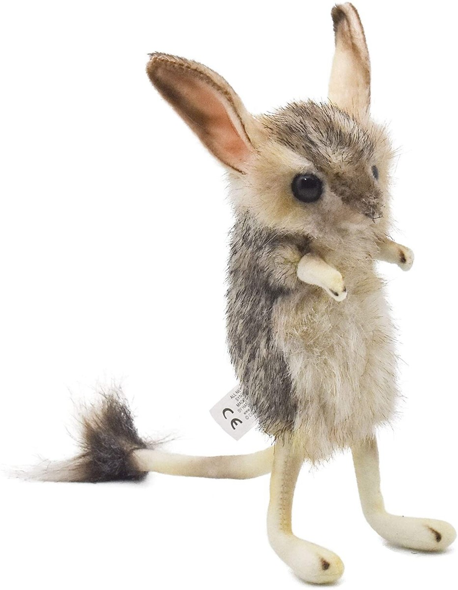 Jerboa Dwerg Vet Tailed Jerboa (Pygeretmus Pumilio) — Stockfoto ...