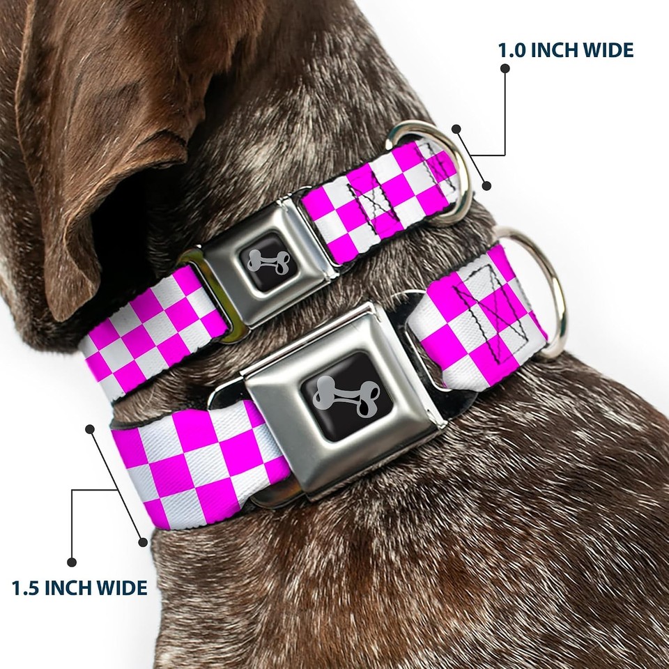 Buckle-Down Pet Collar, Dog Collar Metal Seatbelt Buckle, Checker ...