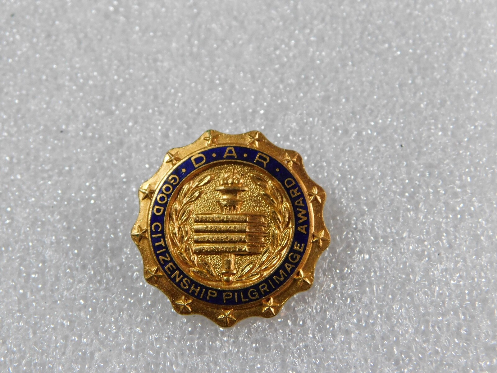 D.A.R Daughters of the American Revolution Good Citizenship Pilgrimage ...