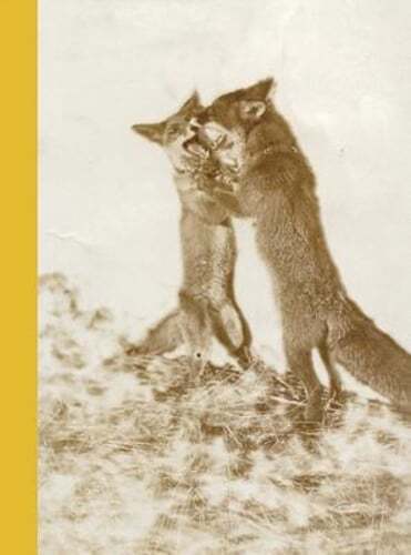 Another Happy Day by Jonah Samson: Used 9780920293898| eBay