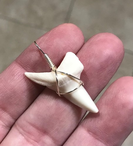 EXCELLENTLY FLARED OUT & CHUNKY PENDANT- HIGH QUALITY MAKO SHARKTOOTH ...