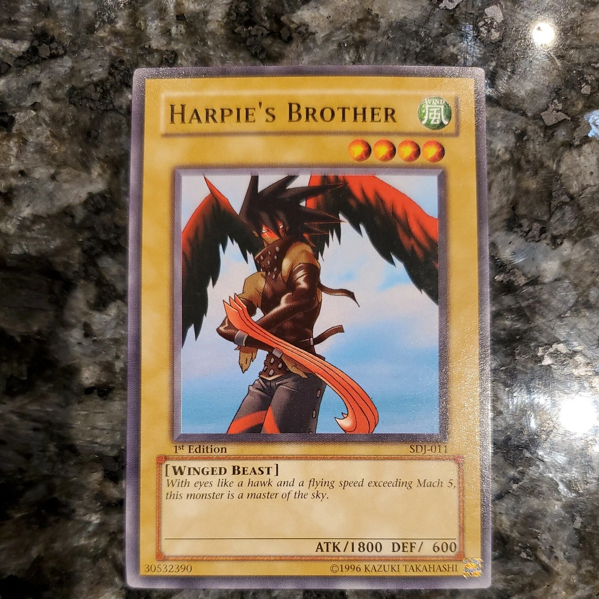 Harpies Brother