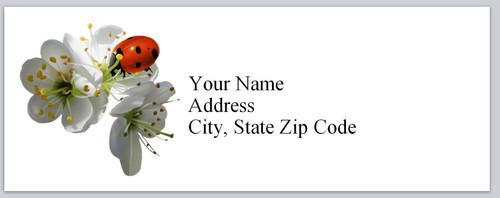 Personalized Address Labels Ladybug on flower (Bx 164) | eBay