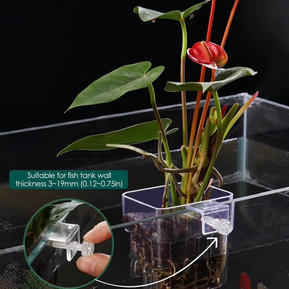 Aquarium Hydroponics Planting Cup Household Aquatic Plant Cup Acrylic ...