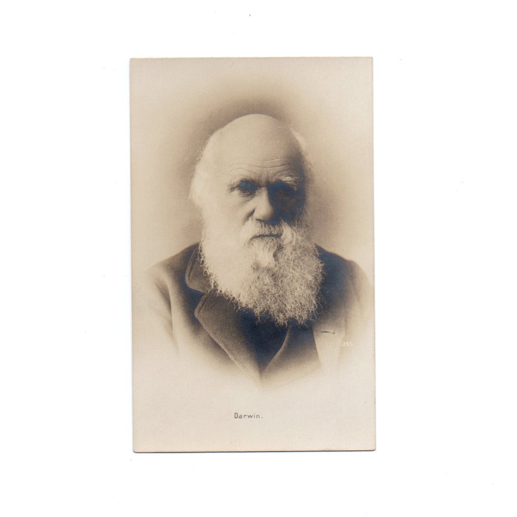 C19th Vintage Postcard | Charles Darwin Geologist Biologist Evulotion ...