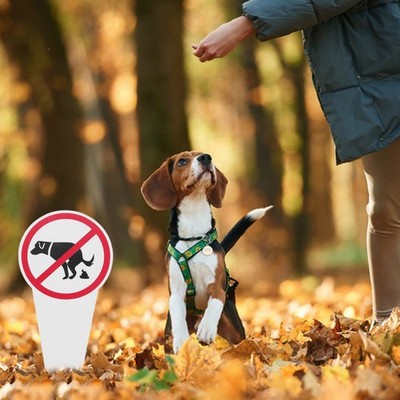 Dog ing Warning Sign 1/2/3pcs Dog Sign Stakes Double-sided for Dog ...