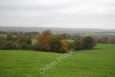 Photo 6x4 Autumn in Ashburnham Park Steven's Crouch c2010 | eBay UK