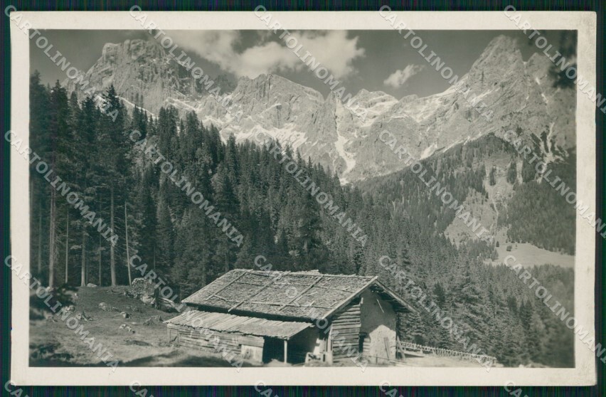Trento San Martino di Castrozza Sass Maor Foto cartolina MT1295 | eBay