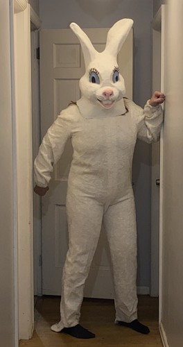 Vintage 1970’s Creepy Easter Party Rabbit Costume Bunny Mascot Adult ...