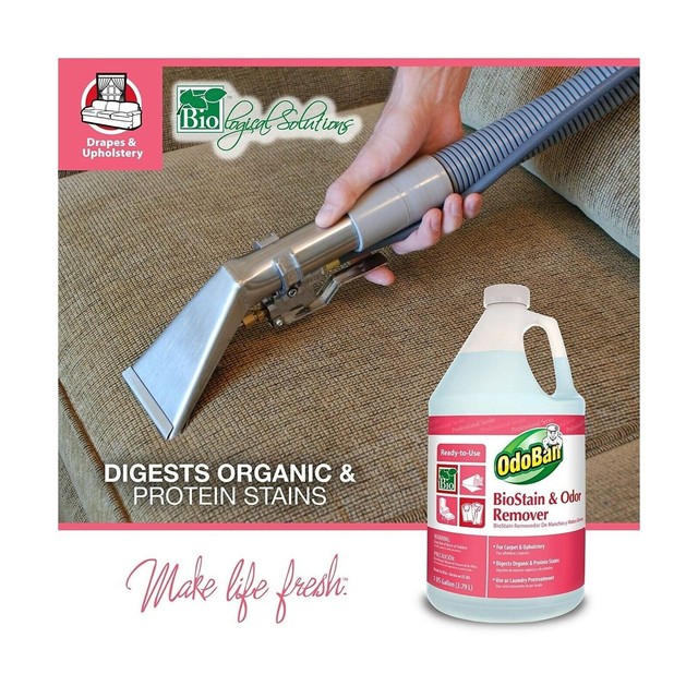 OdoBan 960062-G BioStain and Odor Remover Ready-to-Use 128 oz 1 for ...