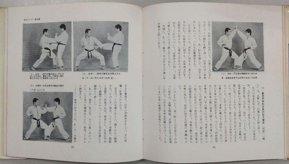 Karate Jutsu Nyumon Photo Guide Konishi Ryosuke Shinto Jinen Ryu ...