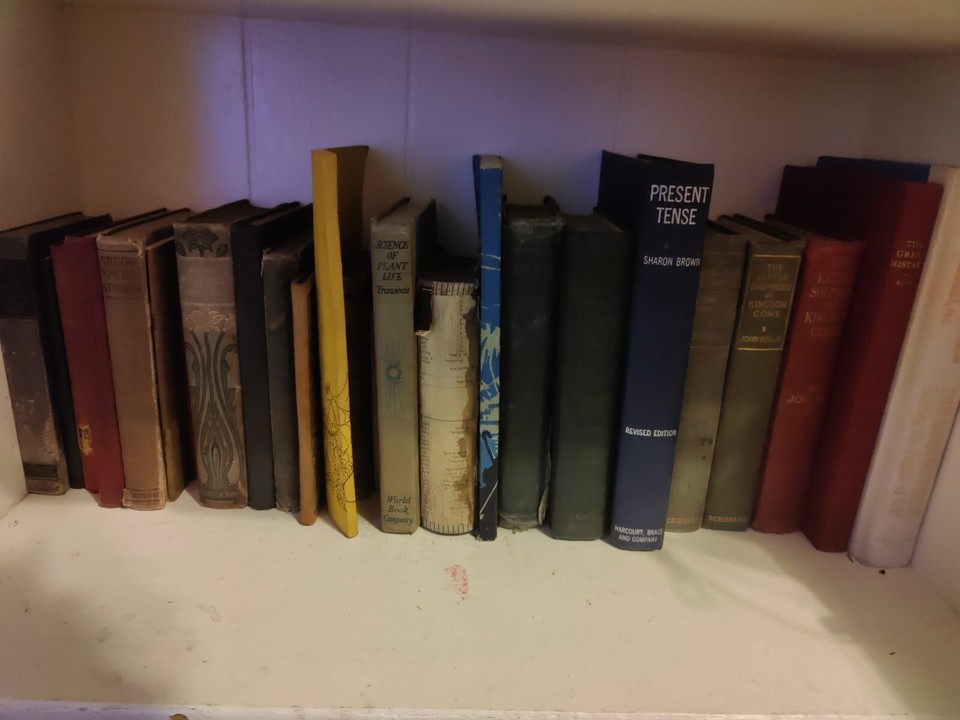 Lot of 10 Antique Collectible Vintage Old Rare Hard To Find Books *MIX ...