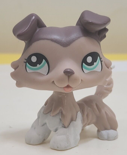 LITTLEST PET SHOP LPS Little #1330 dog Collie Tan Beige Brown with Teal ...