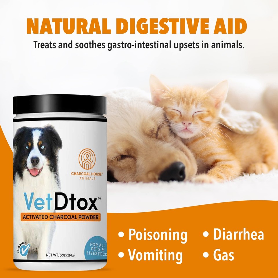 1qt Activated Charcoal Powder for All Kinds of Pets & Livestock, Dog ...