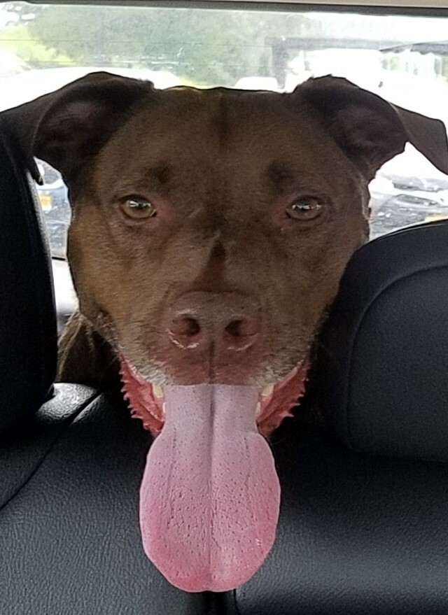 Battle Zone Normandy edited by Simon Trew - Books 1, 2,8,13 and 14 | eBay