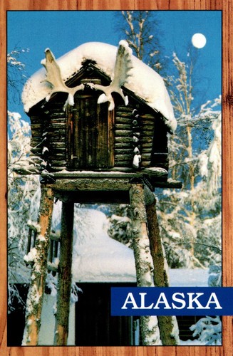 Moose Antlers Decorate Food Cache Alaska Postcard | eBay