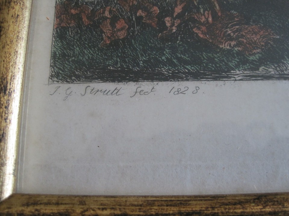 Jacob George Strutt Sylva Britannica 1826 Two (2) Framed Engraving ...