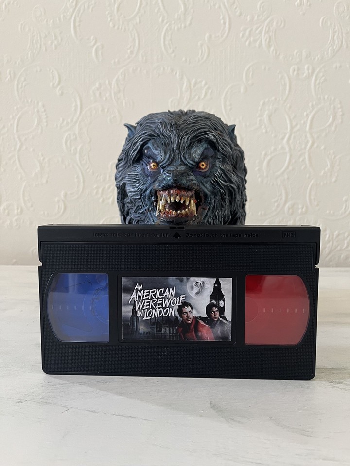 An American Werewolf in London || David Kessler 8.5" Werewolf Bust ...