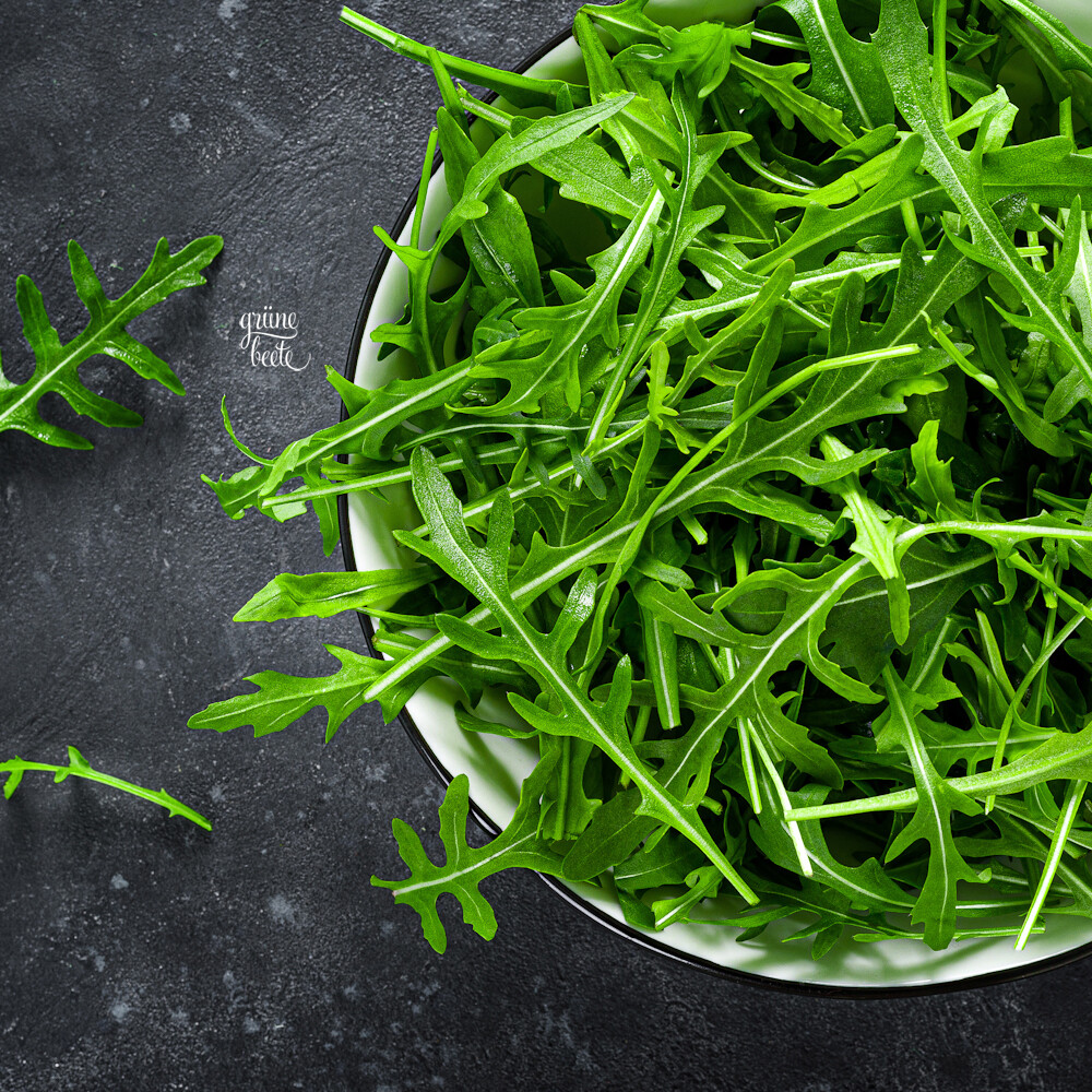 RUKOLA 2.000+ Samen RUCOLA SELVATICA Wilde Rauke SALAT Arugula ...