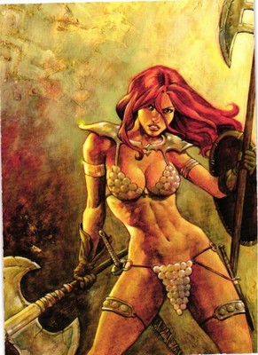 2009 Dynamic Forces Red Sonja Painted Fury Card 35 Years of Red Sonja | eBay