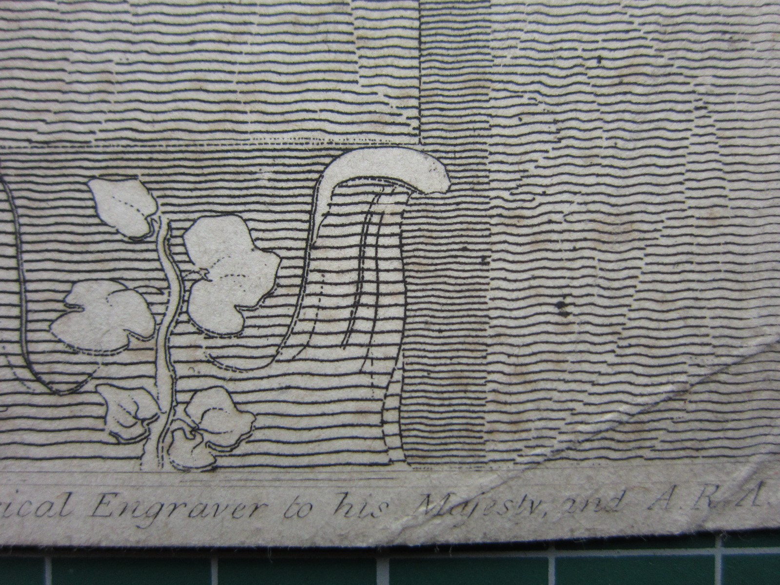 c1790 ANTIQUE PRINT ~TWELFTH NIGHT ~ STOTHARD JAMES HEATH | eBay