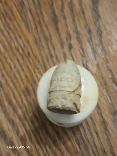 Civil War 52 Caliber Gardiner Bullet Pleasent Hill Louisiana | eBay