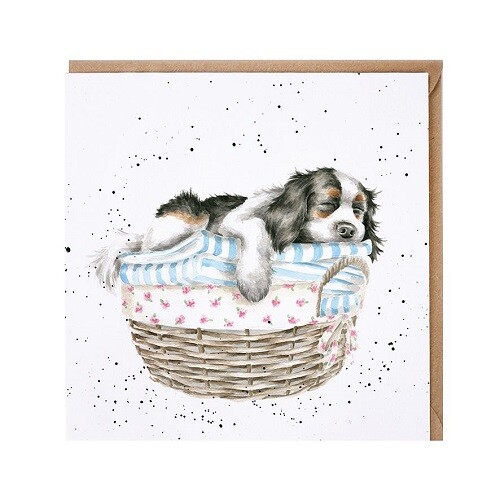 Wrendale Dog Greeting Card Spaniel | eBay UK