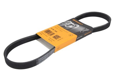 V-Ribbed Belt CONTITECH 5PK800 | eBay