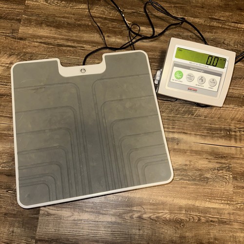 RICE LAKE 140-10-7N Floor Scale - 600 lb * | eBay