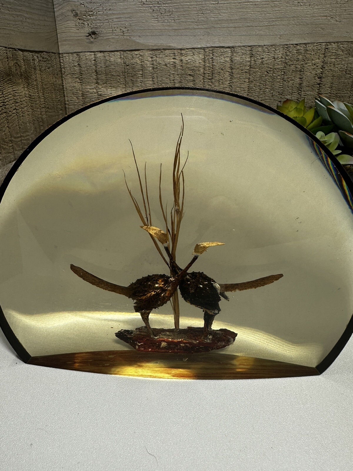Lucite Paperweight - Has Turkey Made Out Of Seeds pods. Unique item | eBay
