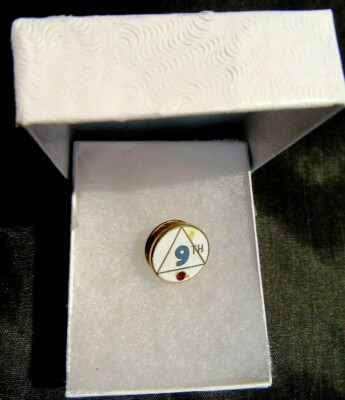 Alcoholics Anonymous 9 MONTH YEAR AA Lapel Hat Vest Pin NA Recovery ...