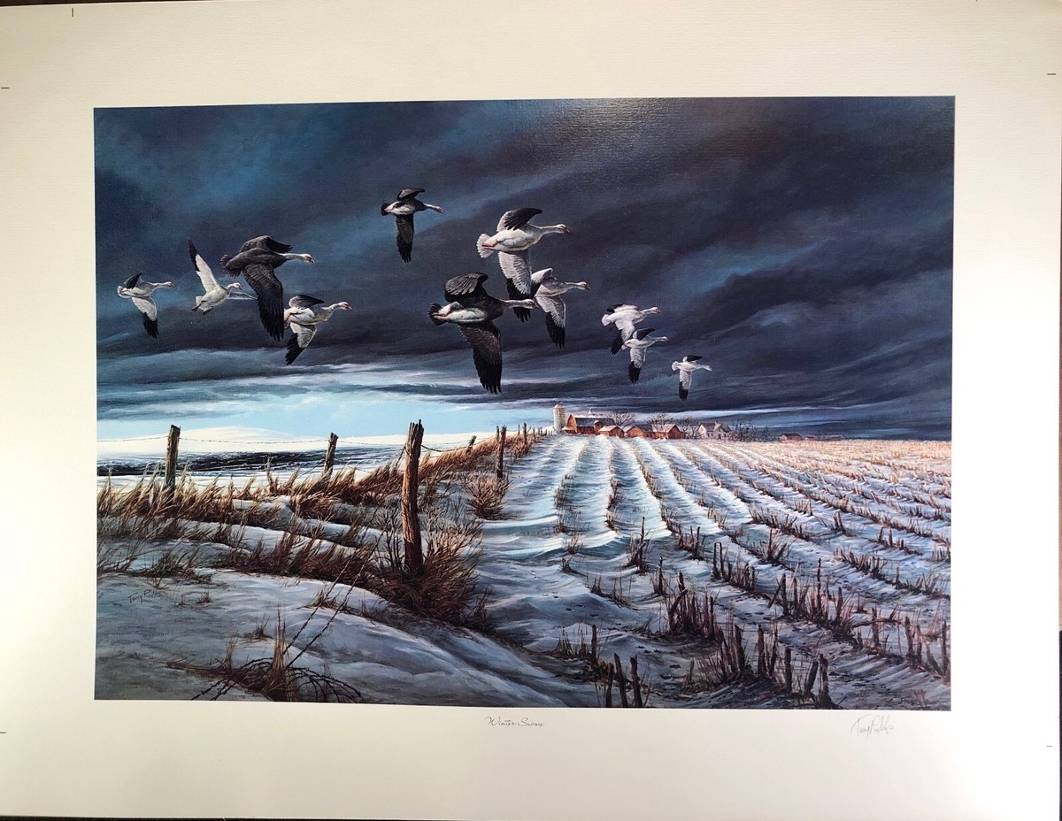 Terry Redlin Hand Signed Night Flight Framed Canvas Print By Terry