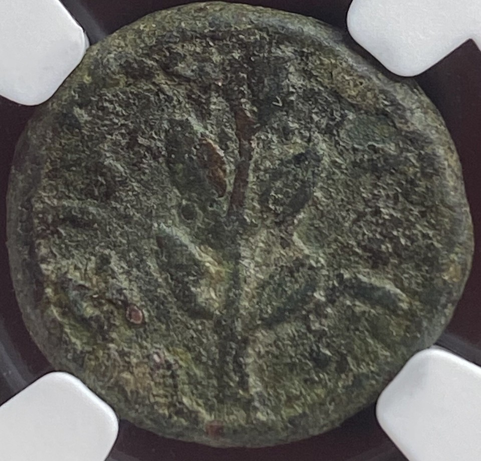 NGC Ancient City of Antioch 1st-2nd Century AD AE16 Genuine Roman ...