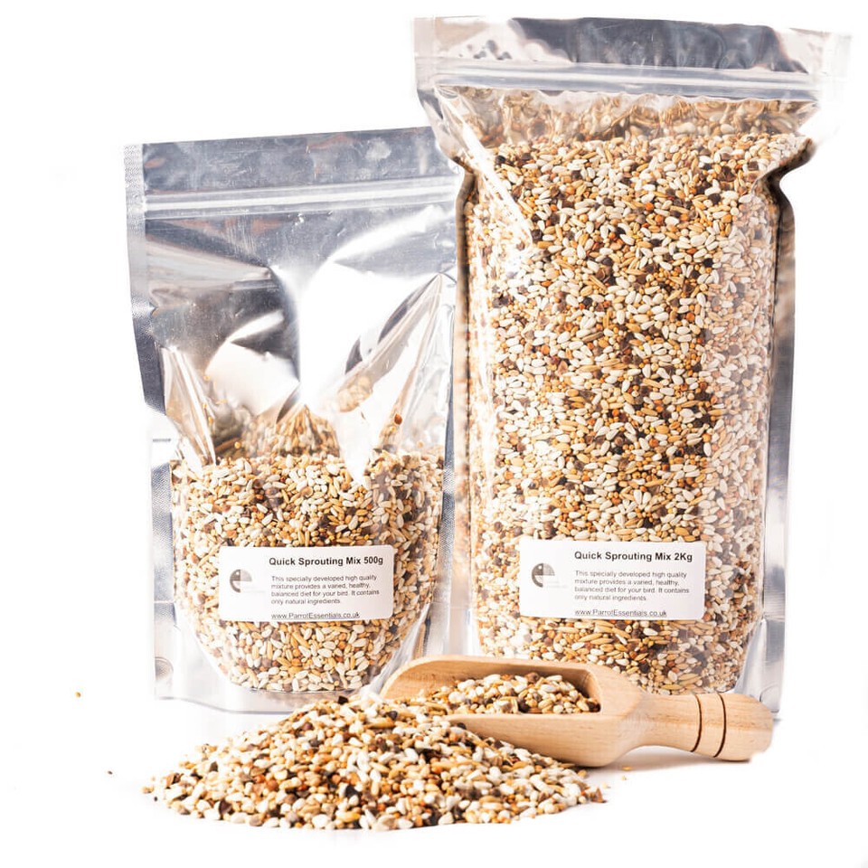 Healthy Parrot Food Quick Sprouting Seed Mix for Parrots and Pet Birds ...