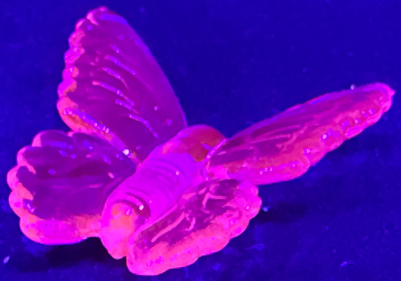 Green Vaseline glass butterfly insect monarch glow moth animal uranium ...
