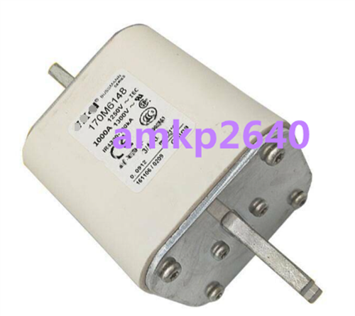 1PCS NEW for 170M6148 1250V 1000A Fuse #am | eBay