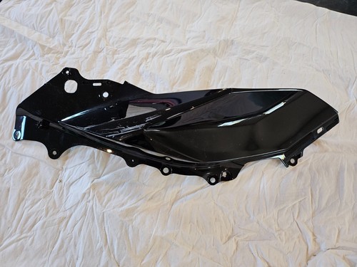2021 Kawasaki Ninja 1000 SX OEM Cowling, Side, Mid ,Rh,M 55028-0739-17K ...