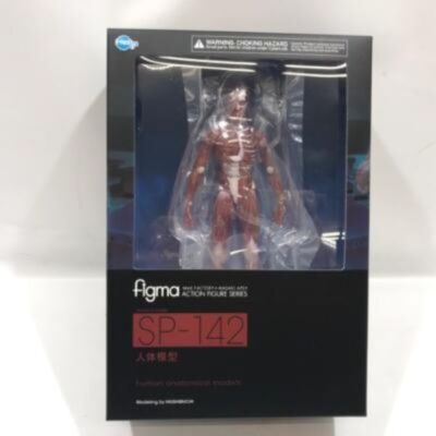UNOPENED FIGMA Human model SP-042 Hobby Figure | eBay Australia
