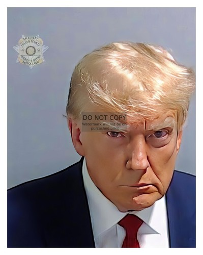 PRESIDENT DONALD TRUMP MUGSHOT FULTON COUNTY DIGITALY ENHANCED 11X14 ...