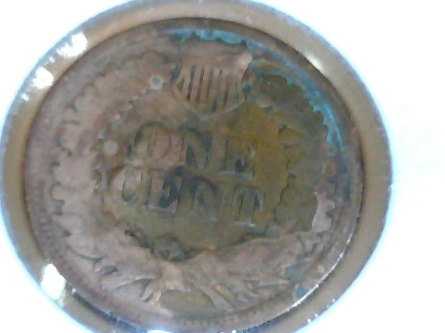 1882 1883 1884 Indian Head penny small cent 3 coin lot 2088 | eBay