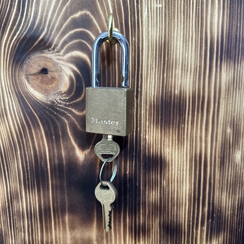 Master Lock, Solid Brass Body Padlock, Hardened steel shackle No.575DPF ...