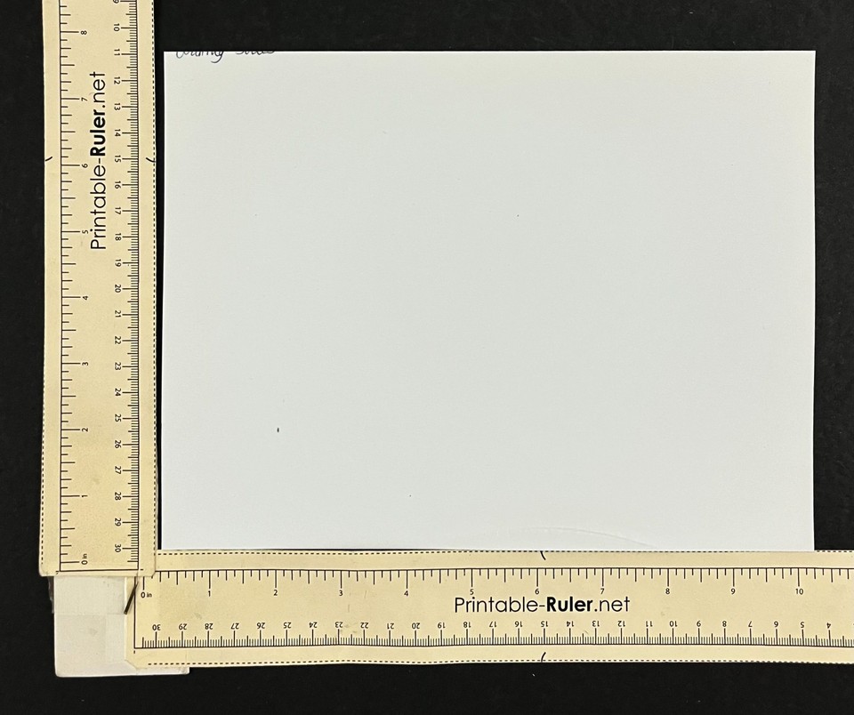 1995 Wailing Souls Jamaican Reggae Group Zoo Burt Stein Vintage Press ...