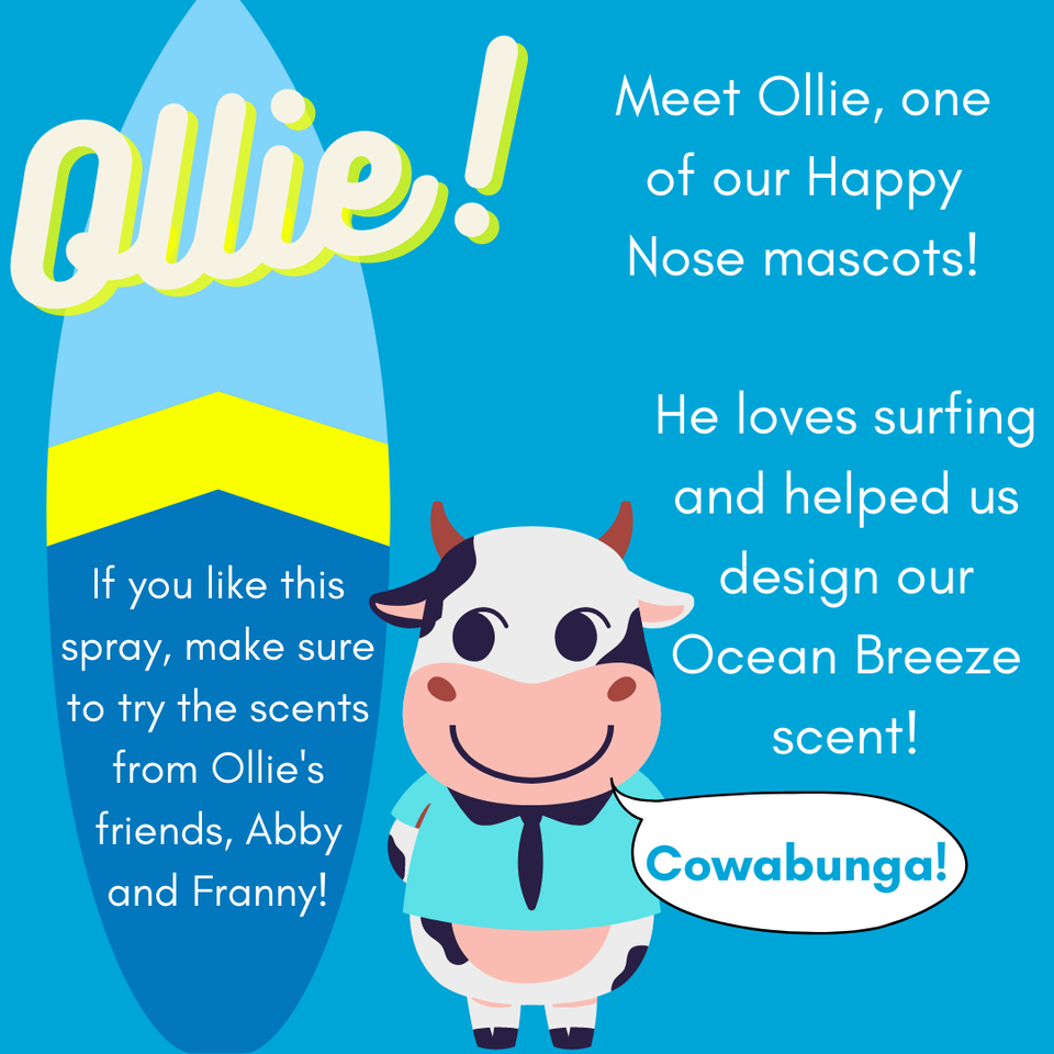 Happy Nose! Natural Plant Based Air Freshener Trio - 3 Scents | eBay