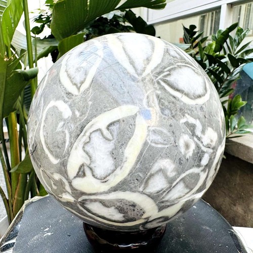 20.1LB Natural Shell Thousand Eye Stone Jasper Quartz Crystal Ball ...